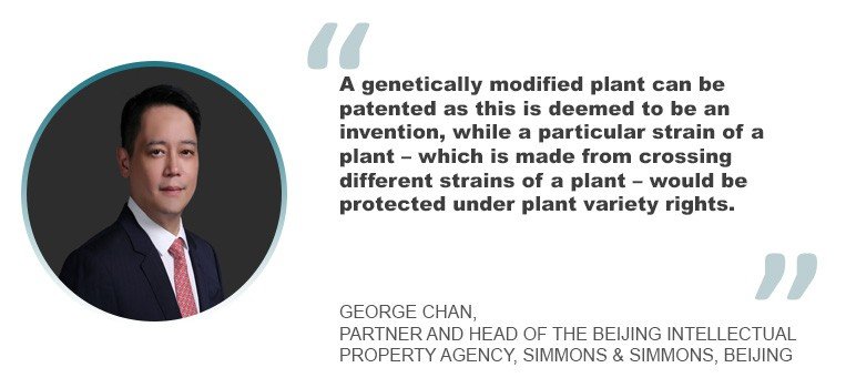 The cannabis industry in the IP arena | Asia IP