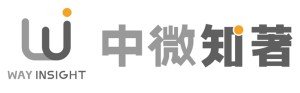 Way Insight IP Services | Asia IP